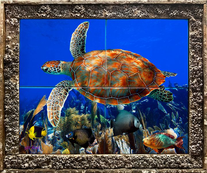 Soaring Turtle - Lobster Trap Art - Photography, Animals, Birds, & Fish ...
