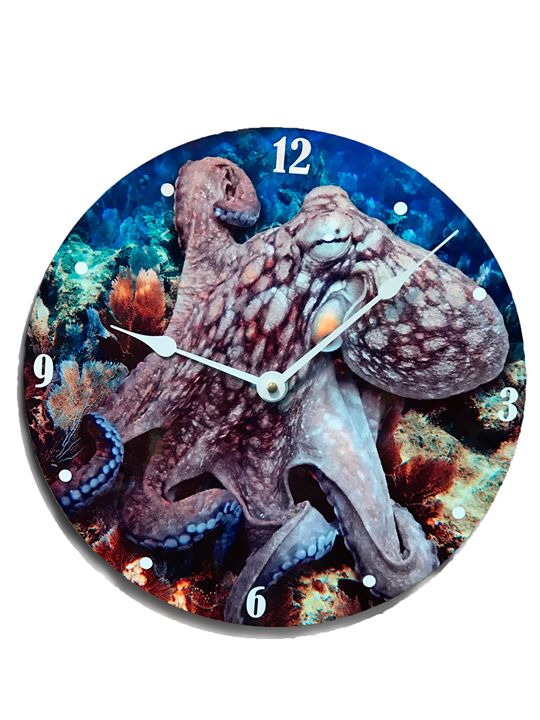 Octopus Clock - Lobster Trap Art - Photography, Animals, Birds, & Fish ...