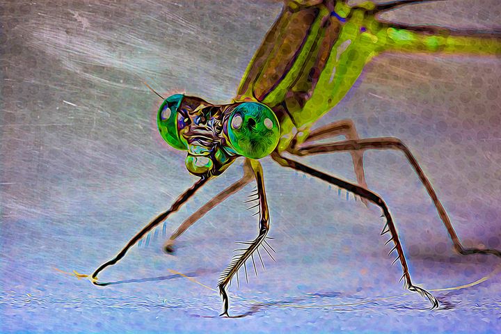 Trippy Dragonfly - Wilson Colfax - Digital Art & AI, Animals, Birds ...