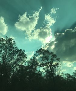 UniquelyHandmadeByEM - Photography