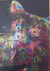 Scratch Art By Joe - Drawings & Illustration