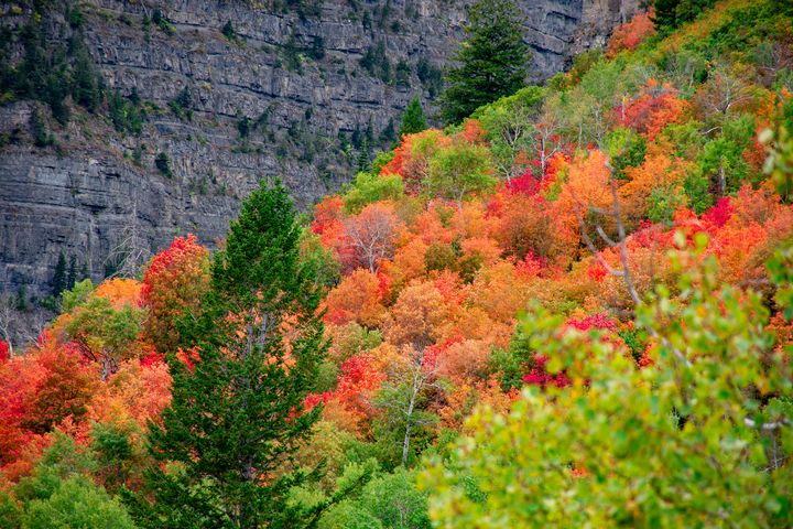 Changing Colors - James Gifford - Photography, Landscapes & Nature ...