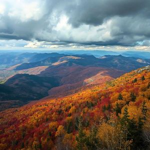 The Last Light of Fall - Deliria "Dee" Wilson - Paintings & Prints ...