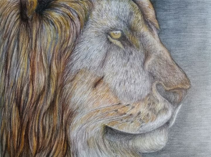 A Lion - N Miranda Grootboom - Drawings & Illustration, Animals, Birds ...