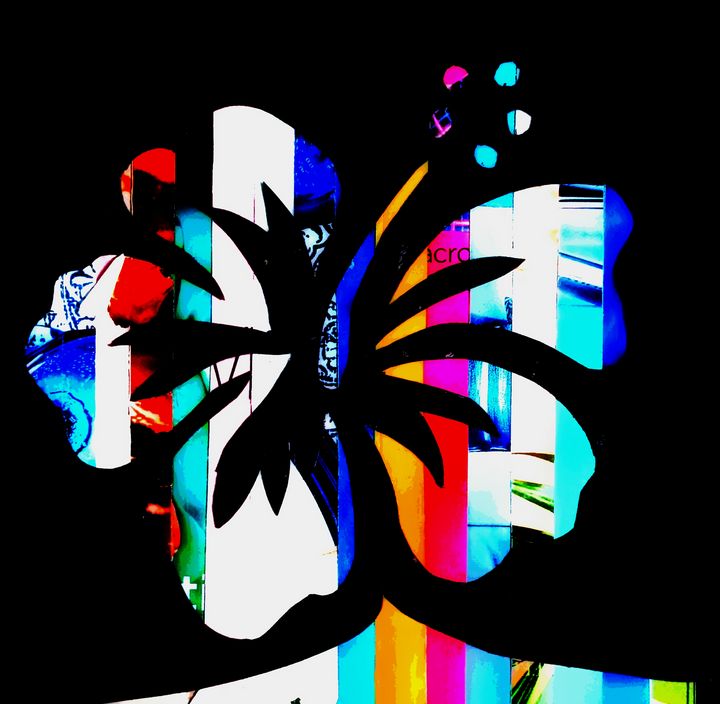 Flower Design - N Miranda Grootboom - Drawings & Illustration, Flowers ...