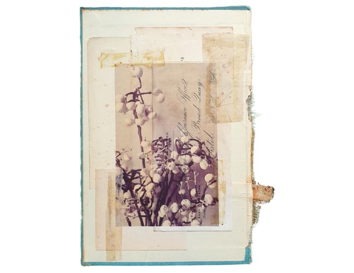 Seed Head Collage - Megan Derham - Paintings & Prints, Abstract ...