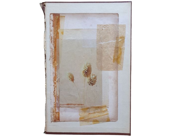 Grass Head Collage - Megan Derham - Paintings & Prints, Abstract ...