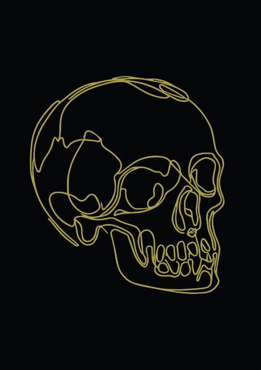 Skull - Fine Line Designs - Drawings & Illustration, Abstract, Other ...