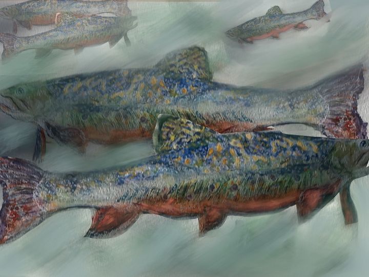 Trout - Stephanie Shapiro - Paintings & Prints, Animals, Birds, & Fish ...