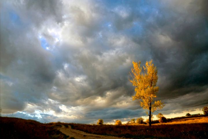A ray of autumn sunshine at sunset - Alexa Galerie - Photography ...