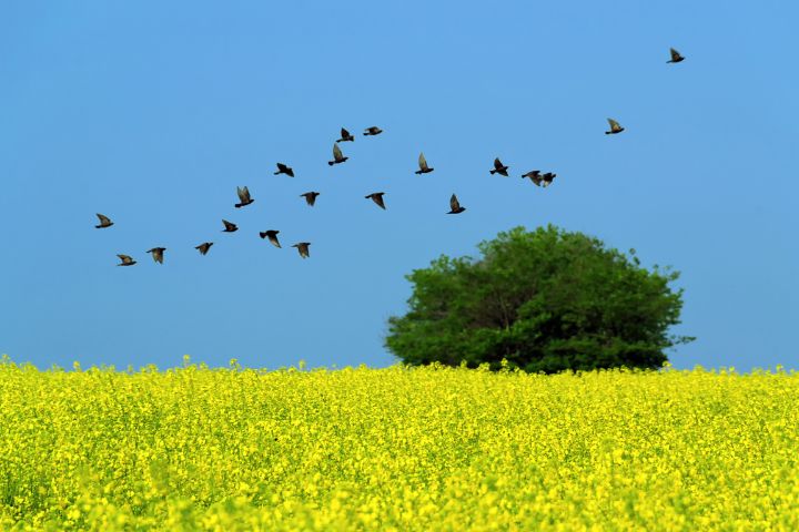 Alexa Galerie - Photography