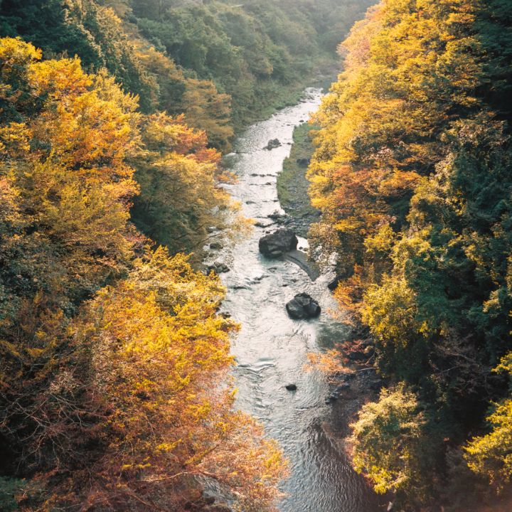 Mountain River - Hamilton - Photography, Landscapes & Nature, Mountains ...