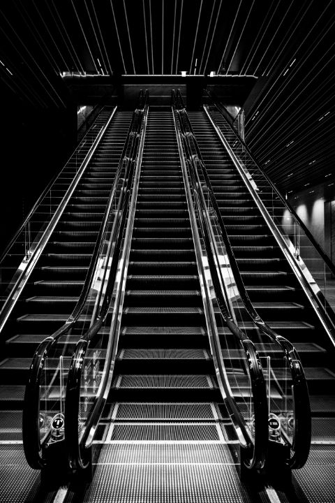 Hamilton - Photography