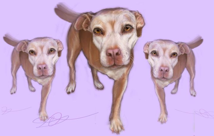 Happy loving dog - When a star falls - Digital Art & AI, Animals, Birds ...