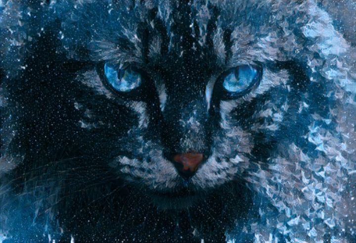 Cat in scaly blue texture - Saviour Adventures - Paintings & Prints ...
