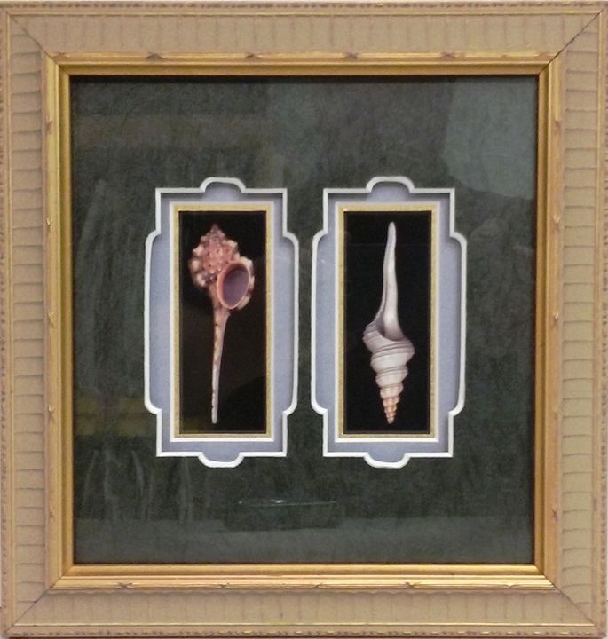 Purple Shells - The Frame Cellar - Paintings & Prints, Landscapes ...