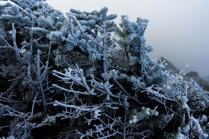 Alpine Frost - Max Ablicki - Adventure Photography - Photography ...