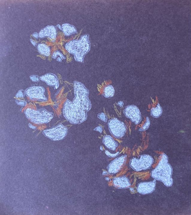 Paws - Spider Spinnings - Drawings & Illustration, Animals, Birds ...