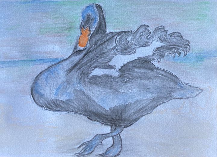 Fancy Swan - Spider Spinnings - Paintings & Prints, Animals, Birds ...