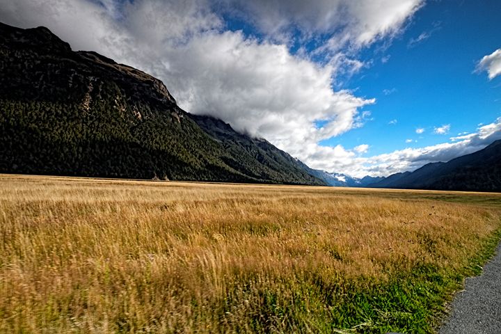Views of the mountains and plants - photo land - Photography ...