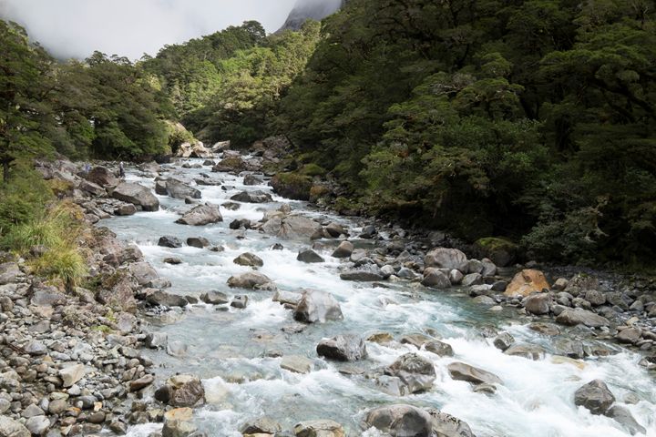 streams and lakes of New Zealand - photo land - Photography, Places ...