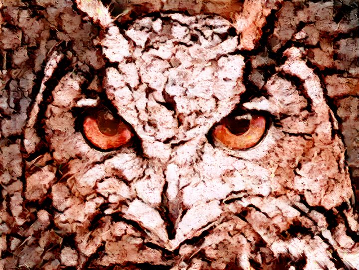 dry owl - ChaosArtistry - Digital Art, Animals, Birds, & Fish, Birds ...