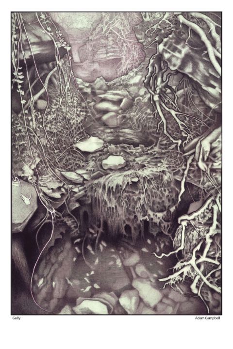 Gully - Adam Campbell - Paintings & Prints, Landscapes & Nature ...