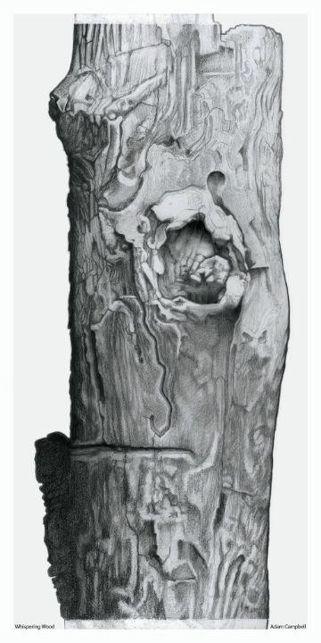 Whispering Wood - Adam Campbell - Drawings & Illustration, Landscapes ...