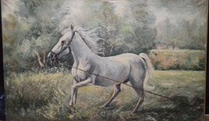 Ana Stupin - Paintings & Prints