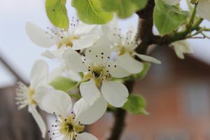 Raluca Pintea - Photography