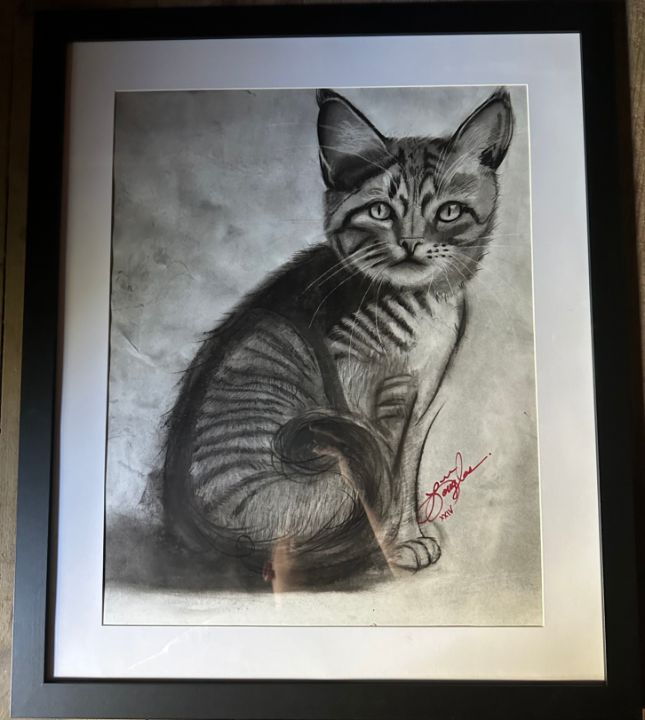 Inquisitive Kitty - Lee Douglas - Drawings & Illustration, Animals ...