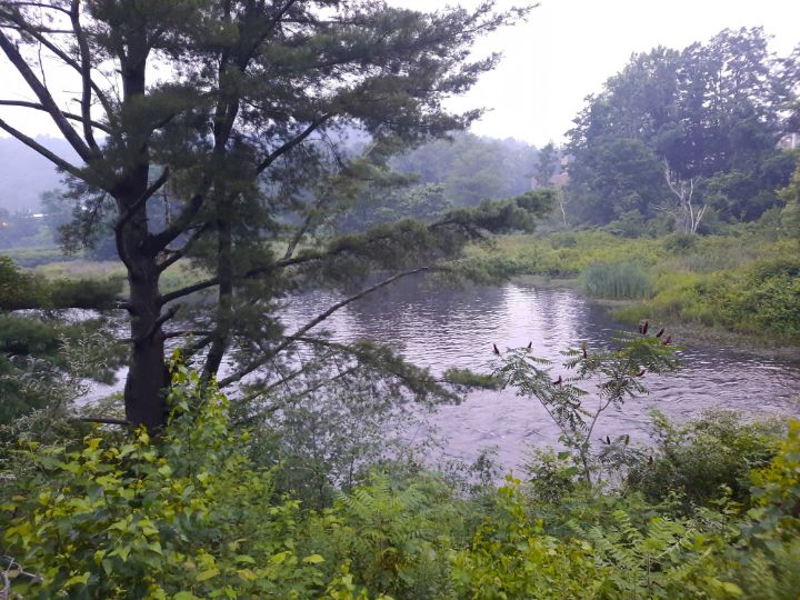Hidden river - WonderintheLight - Photography, Landscapes & Nature ...