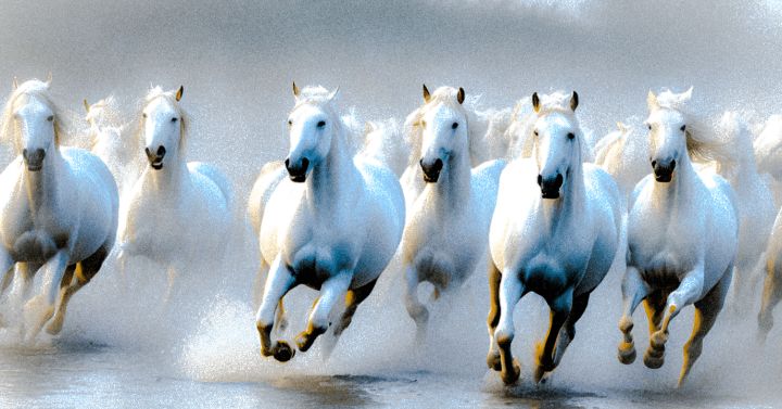 Majestic Run - Scenic Art by Sankha Ghosh - Photography, Animals, Birds ...