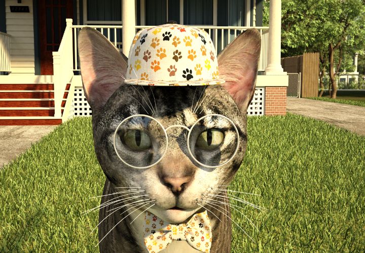 940-Cat - Pooty.png - GalleryGazers - Digital Art & AI, Animals, Birds ...