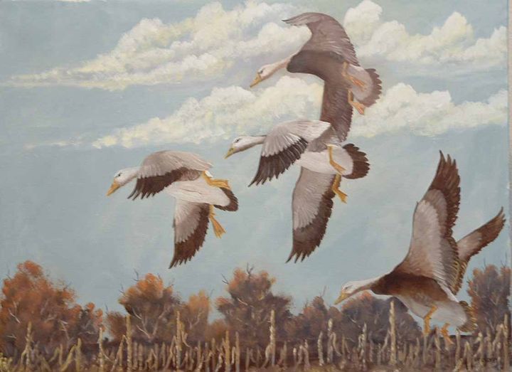 Band of Brothers II - Jim Jordan Fine Art - Paintings & Prints, Animals ...