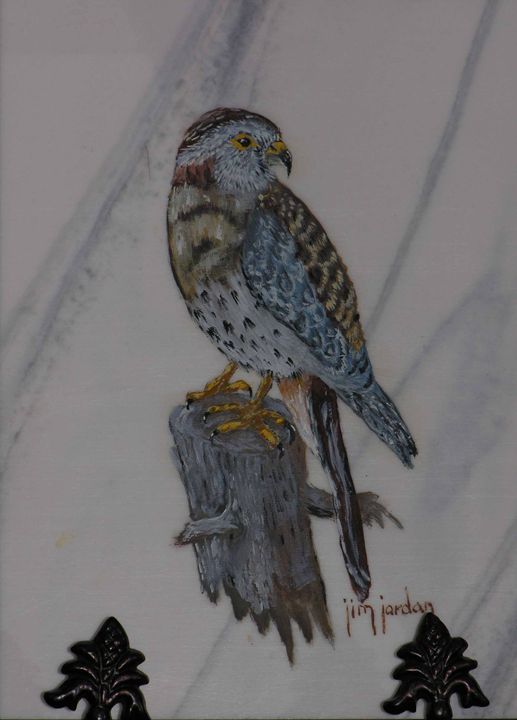American Kestral - Jim Jordan Fine Art - Paintings & Prints, Animals ...