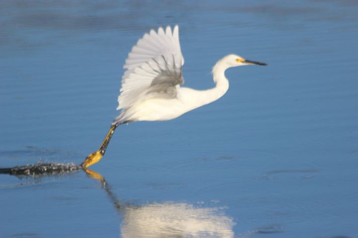 Scratching The Surface - Photography By B.F. Jannuzzi - Photography ...