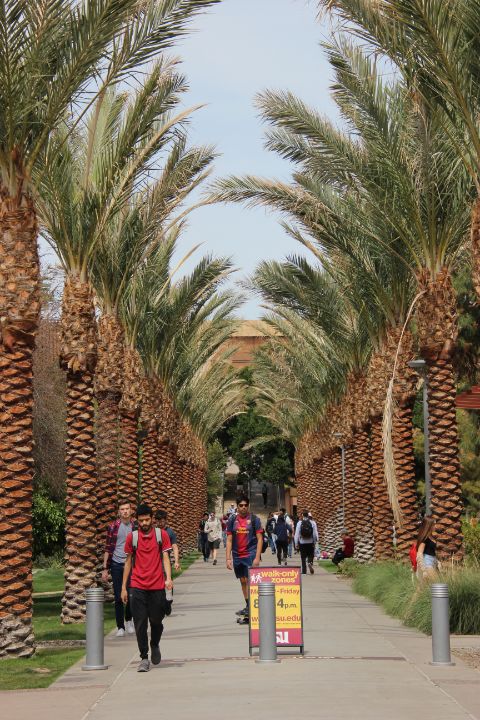 Palm Walk - Photography By B.F. Jannuzzi - Photography, Flowers, Plants ...