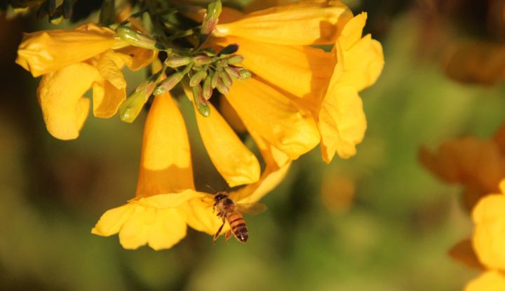 Decisions, Decisions - Photography By B.F. Jannuzzi - Photography ...