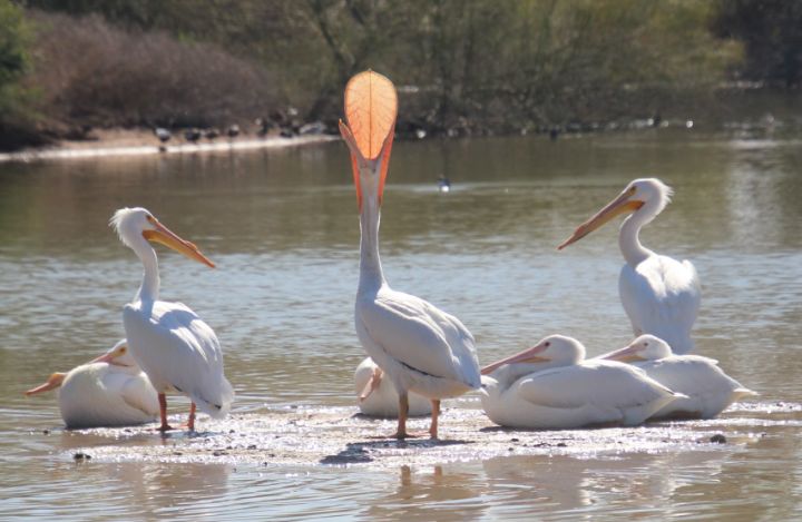 Catching Some Rays - Photography By B.F. Jannuzzi - Photography ...