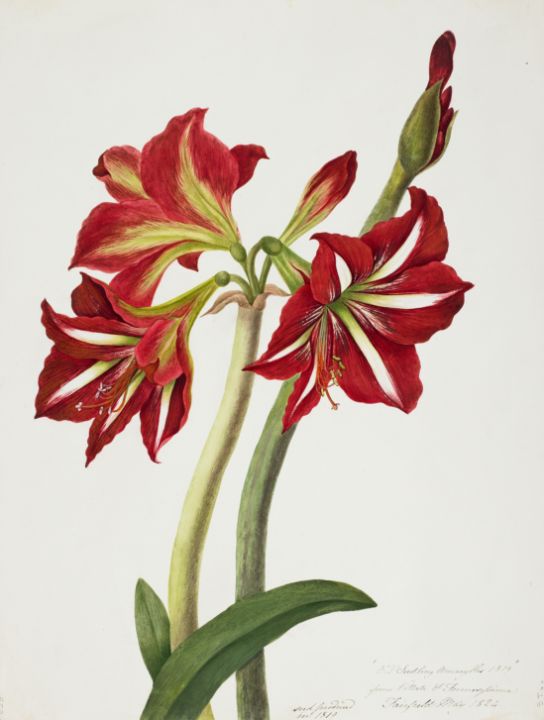 Priscilla Susan Bury British - Classical Artworks Bay - Paintings ...