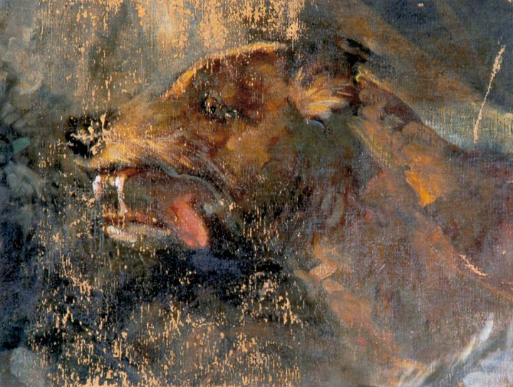 Dog head - Classical Artworks Bay - Paintings & Prints, People ...