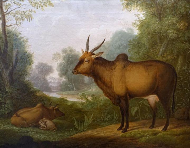 Zebu - Classical Artworks Bay - Paintings & Prints, People & Figures ...