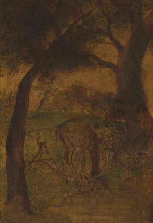 A Stag Drinking - Classical Artworks Bay - Paintings & Prints, People ...