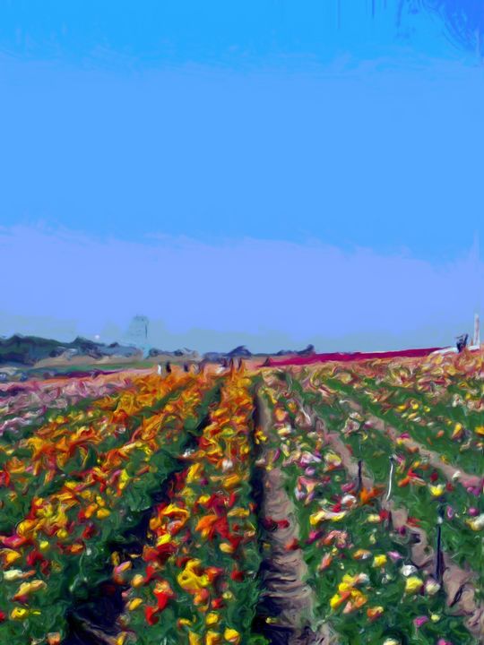 Lisa Welcher Art - Digital Art, Paintings & Prints, Photography ...
