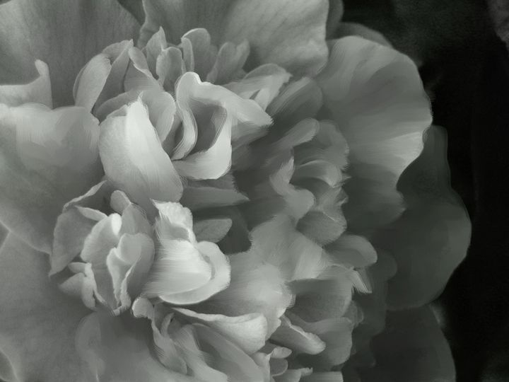 white camilla - Lisa Welcher Art - Digital Art & AI, Flowers, Plants ...