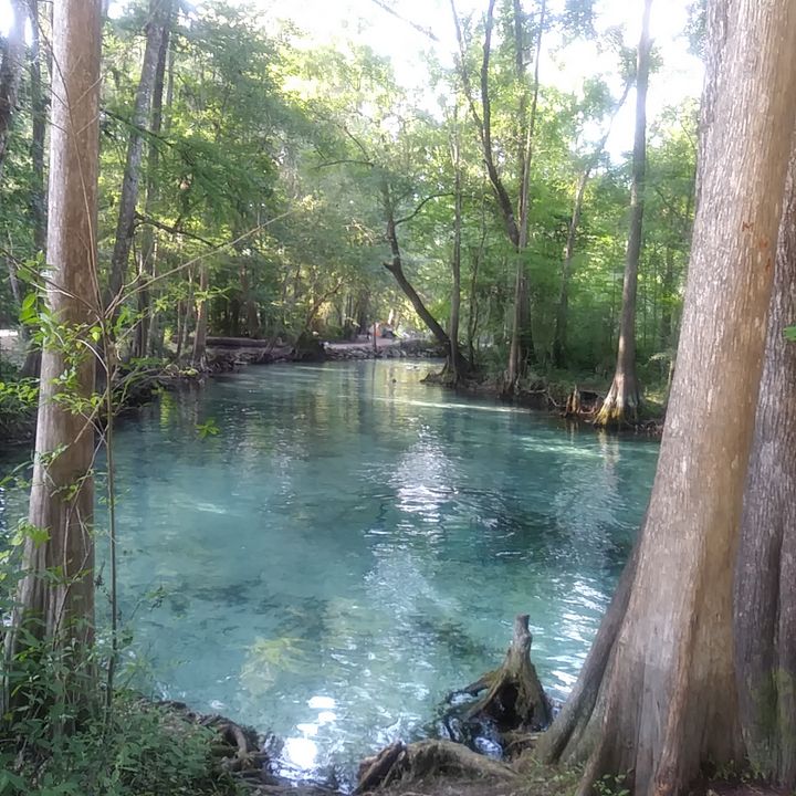 Clear - Andrea Mather - Photography, Landscapes & Nature, Rivers ...