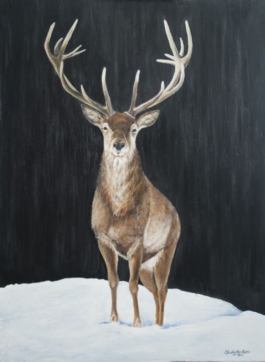 Royalty - Shirley Ann Cone - Paintings & Prints, Animals, Birds, & Fish ...