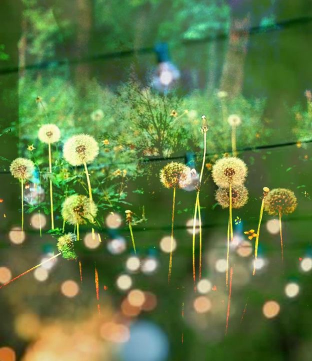 Wild - Secret garden - Digital Art & AI, Flowers, Plants, & Trees ...