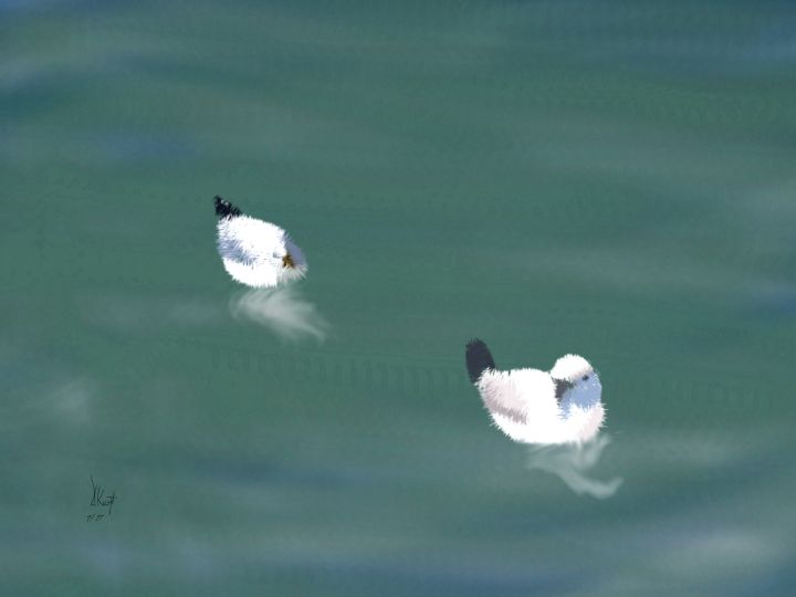 Seagulls - Dodwell Keyt - Paintings & Prints, Animals, Birds, & Fish ...